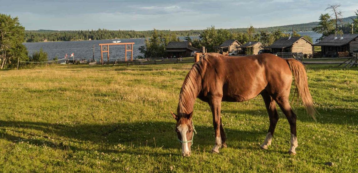 Discover 14 Cabins and Lake Life & Culture in BC